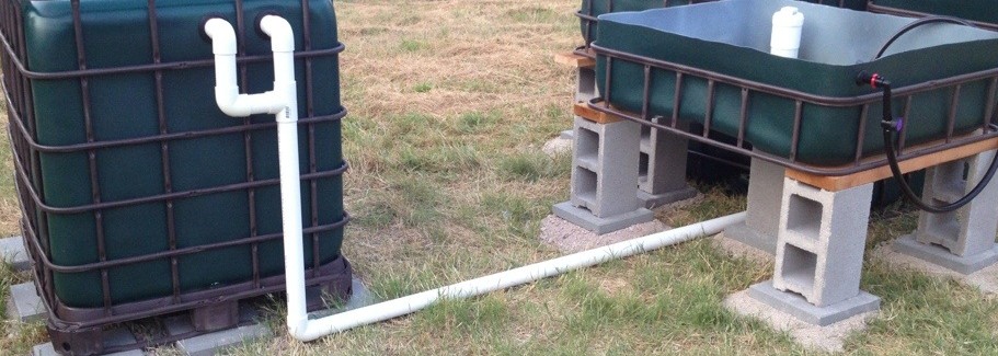 IBC totes Archives - Red Dirt Oasis